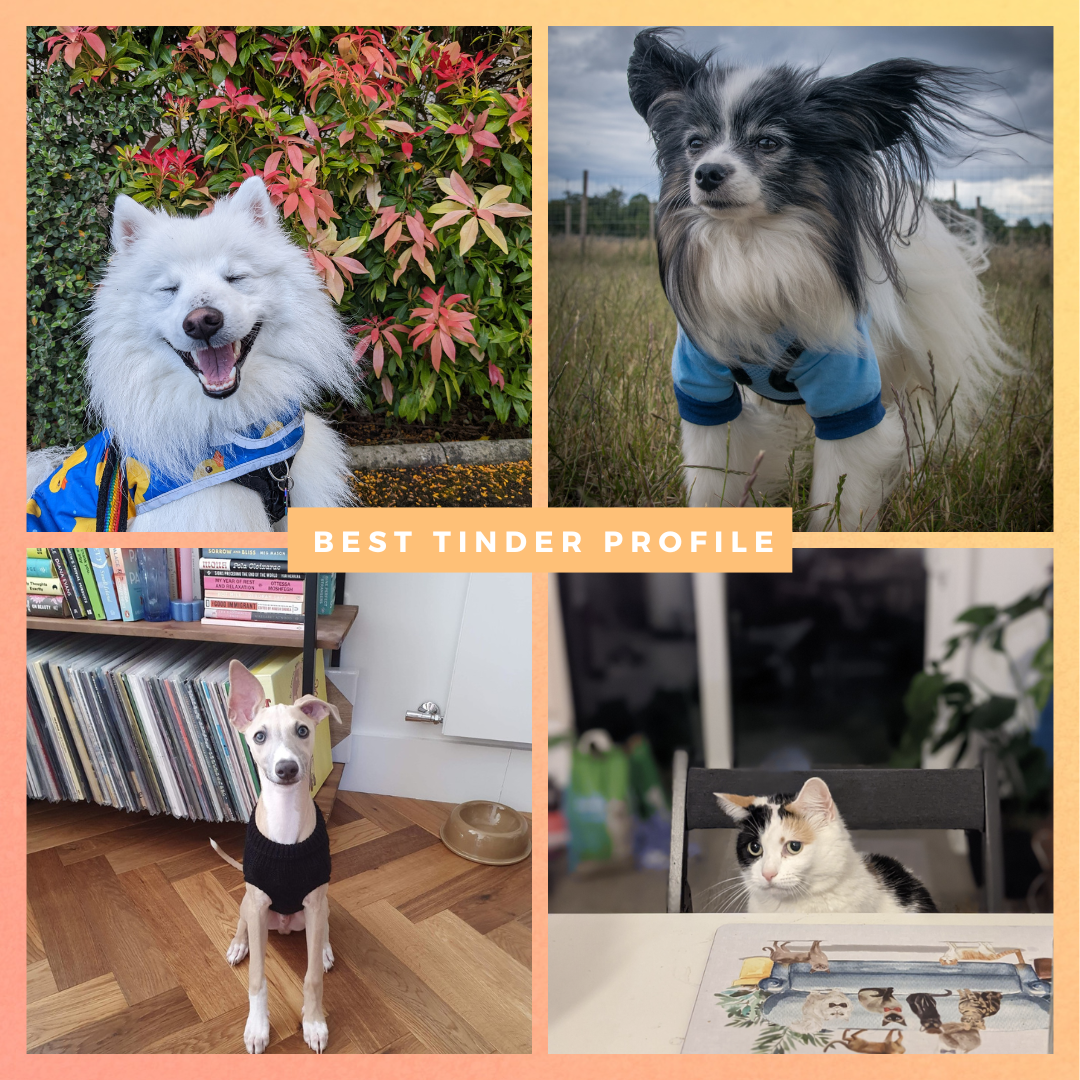 ASN Virtual Pet Show 2022 - Abortion Support Network